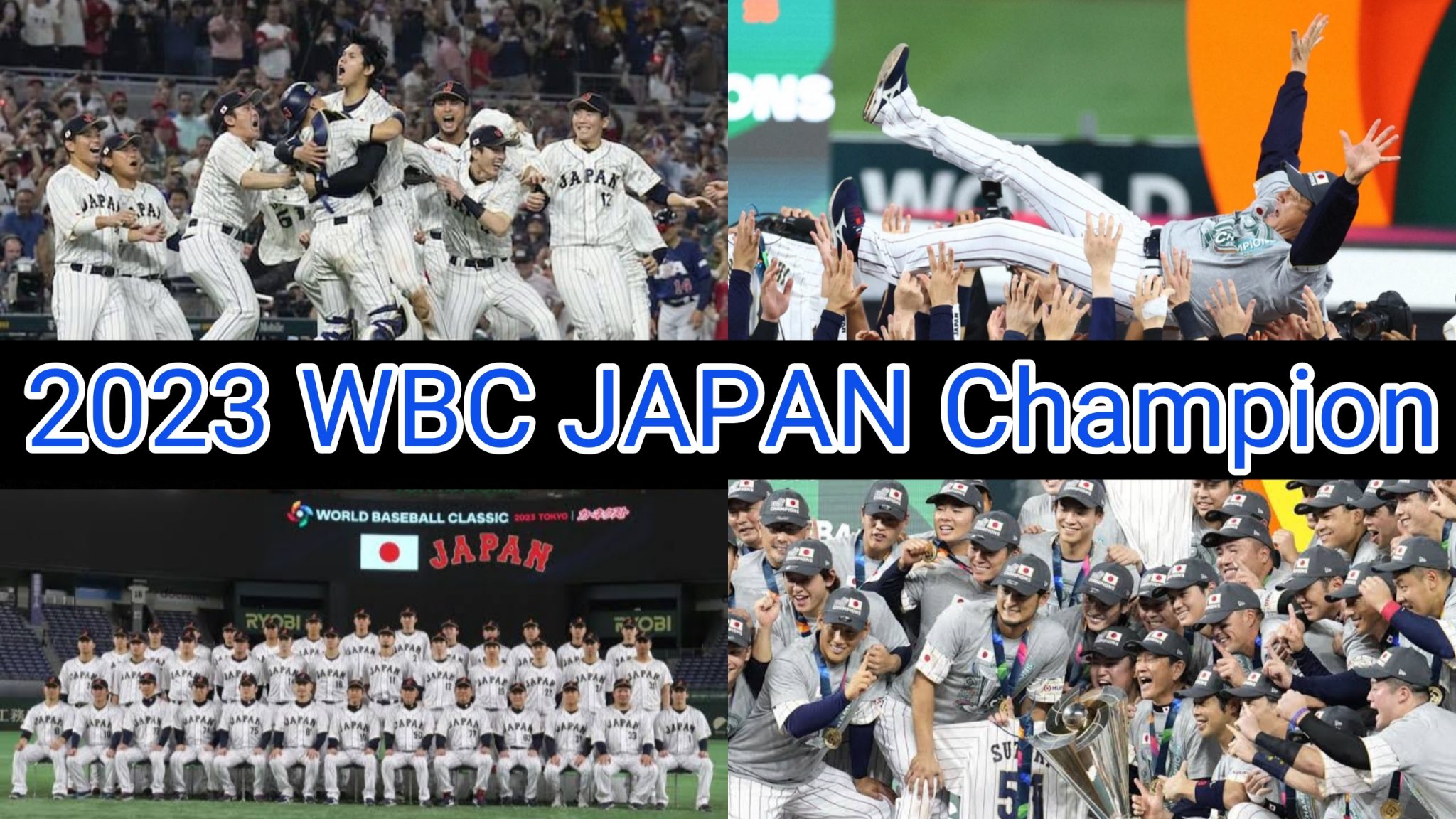ブログ【blog】
